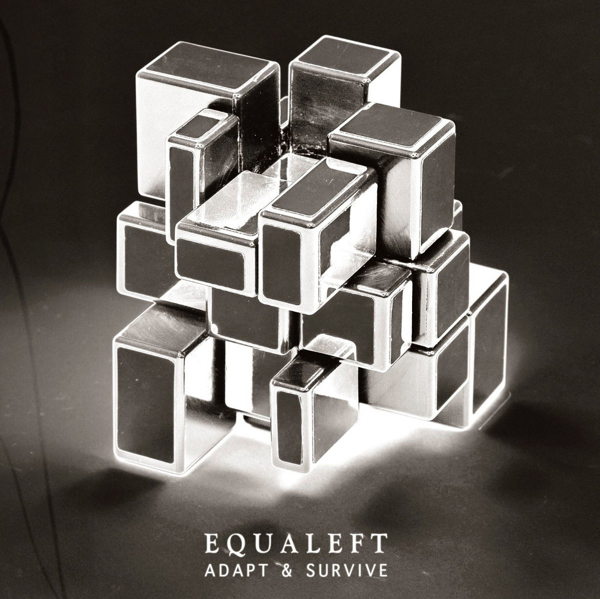 Adapt & Survive | Equaleft