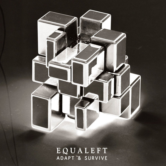 Adapt & Survive | Equaleft