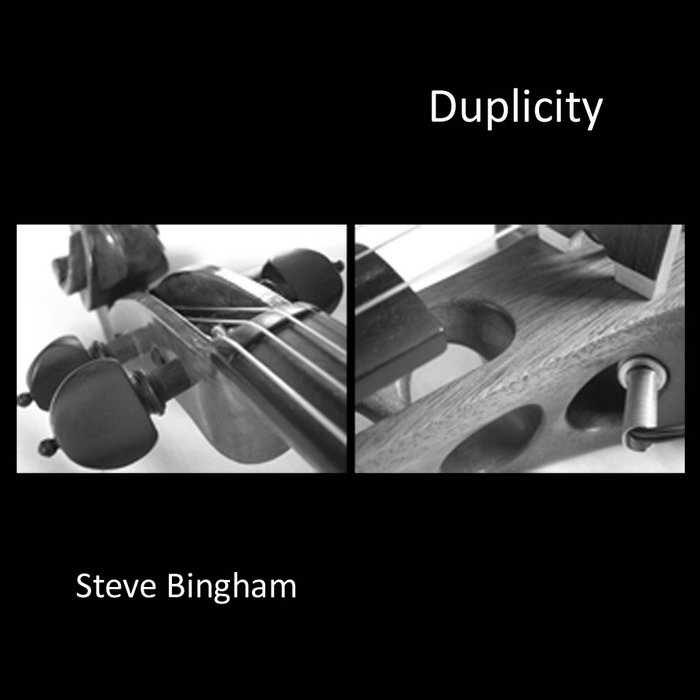 Duplicity | Steve Bingham