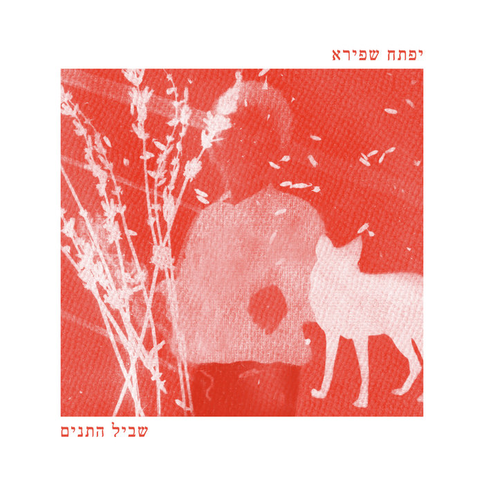 שביל התנים | Iftach Shapira יפתח שפירא