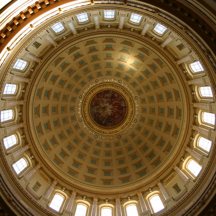 A Real Fake Album11à1é | Pow | Avocado Rhino