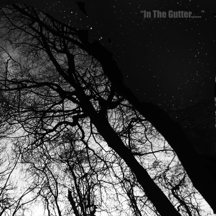 In The Gutter... | Mike Collinge