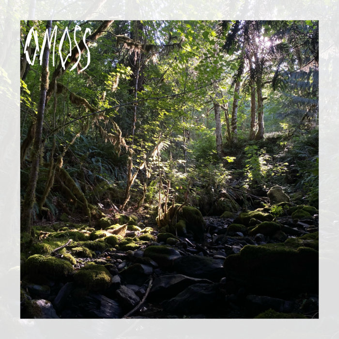 Omoss | rybbon, Planet Shelby, Lofreq | rybbon