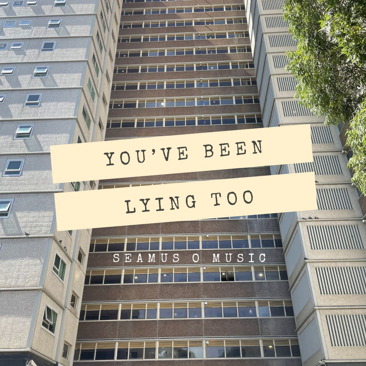 You've been lying too | Seamus O Music