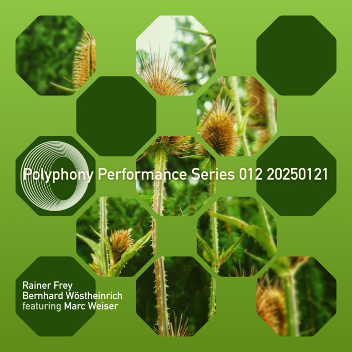 Polyphony Performance Series 012-20250121 | Rainer Frey, Bernhard ...