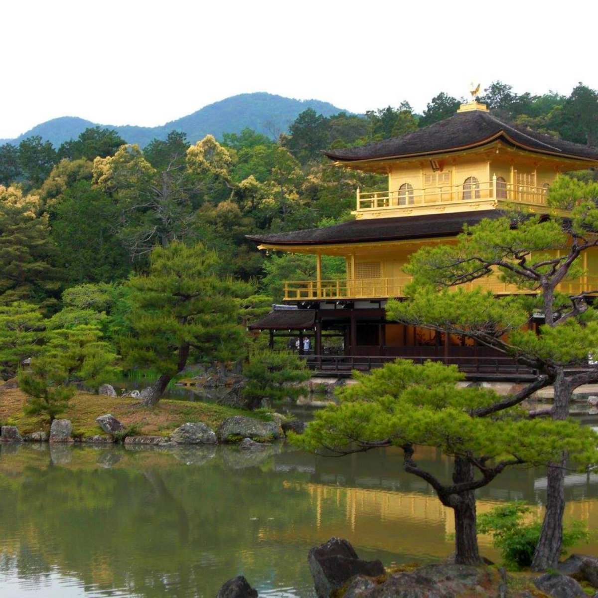 Repeating Cycle | Desert Beagles