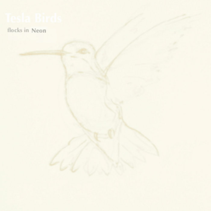 Tesla Birds - flocks in NEON | Tesla Birds | TeslaBirds
