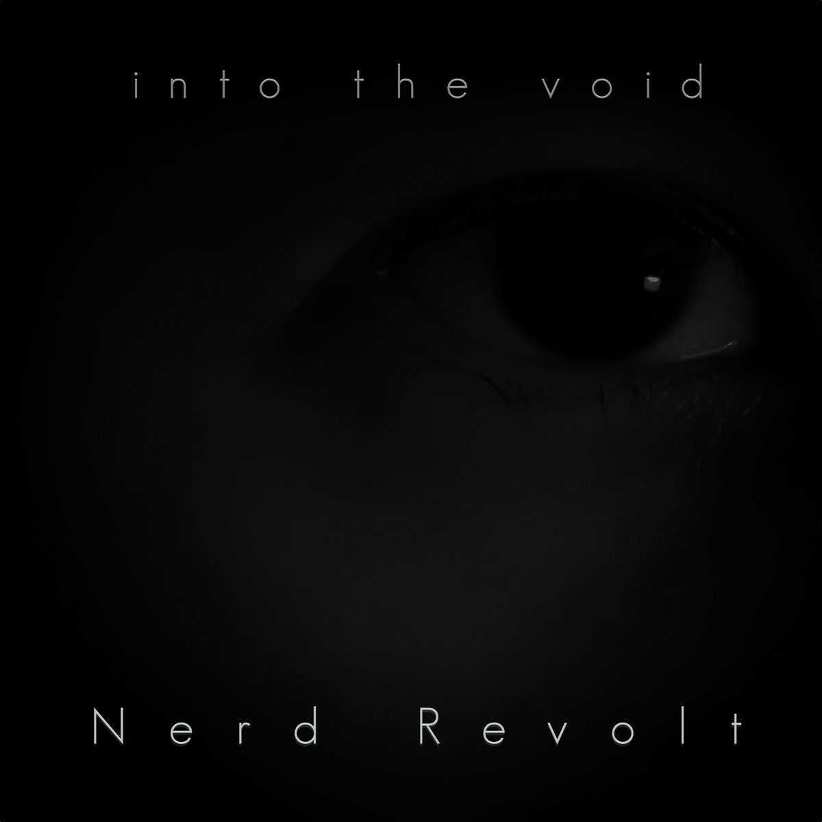 into the void | Nerd Revolt