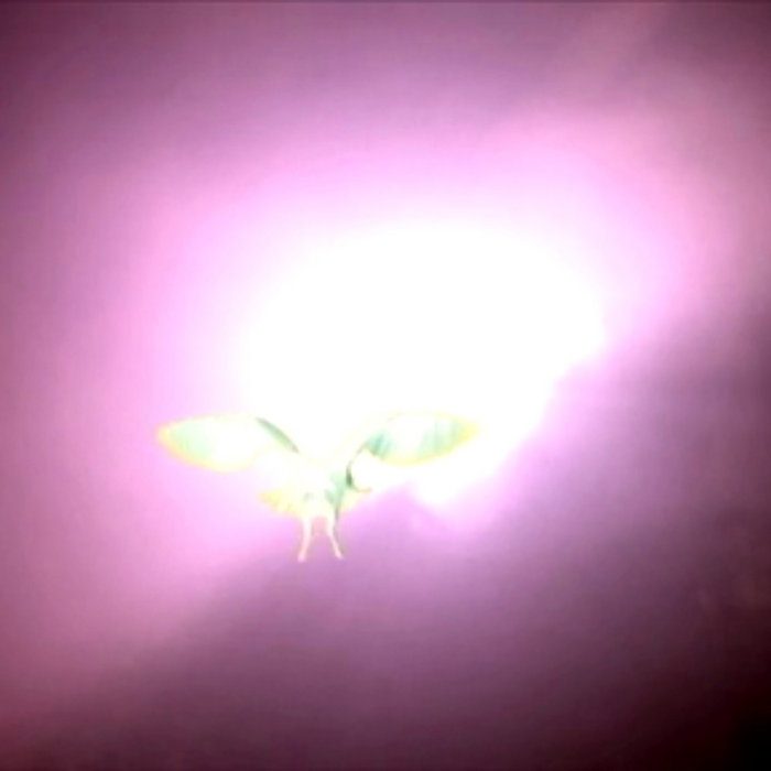 physicality | peking saint | unlimited guests