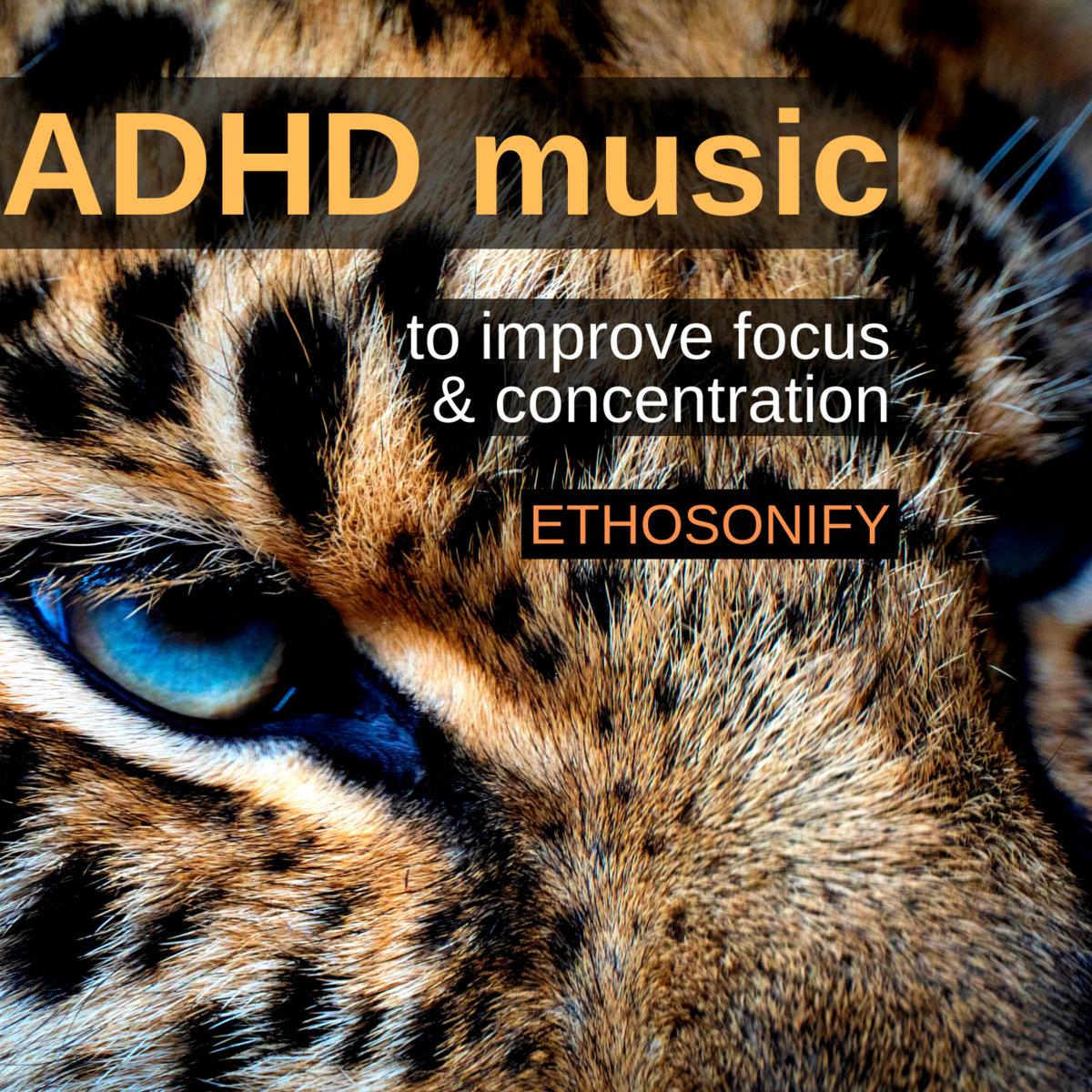 ADHD Music to Improve Focus and Concentration Vol. 2 | ETHOSONIFY