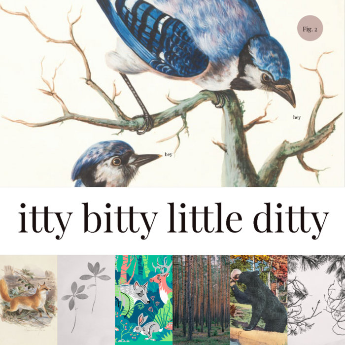 Itty Bitty Little Ditty Volume 2 | Itty Bitty Little Ditty