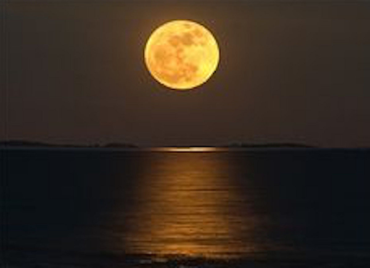 Big Yellow Moon | Dan Sullivan