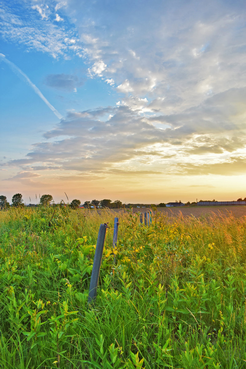 Life Is..... | Jesse Sprinkle