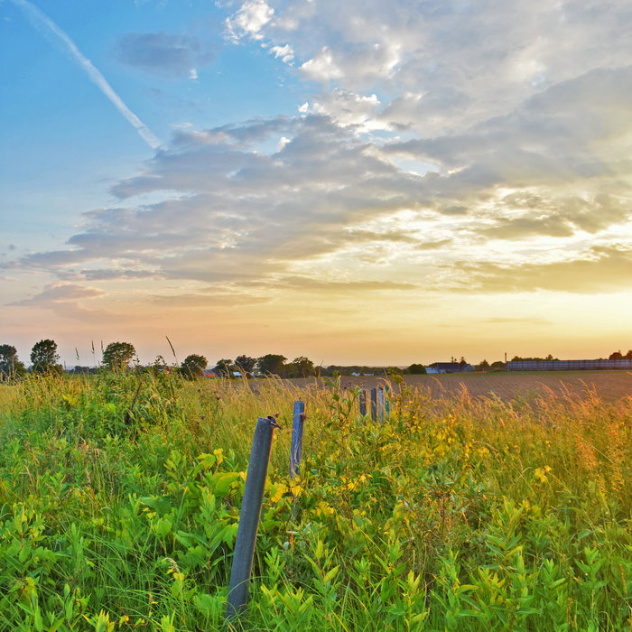 Life Is..... | Jesse Sprinkle