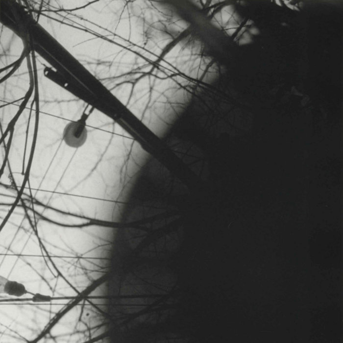 portrait of the feminine natural disaster | Shiloh Blue