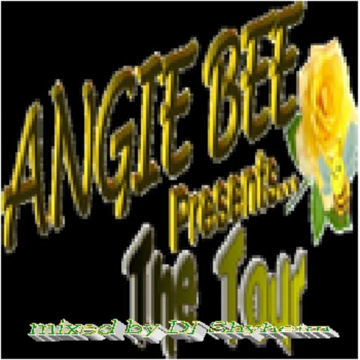 Angie Bee Presents The Tour V.1 | DJ Shyheim