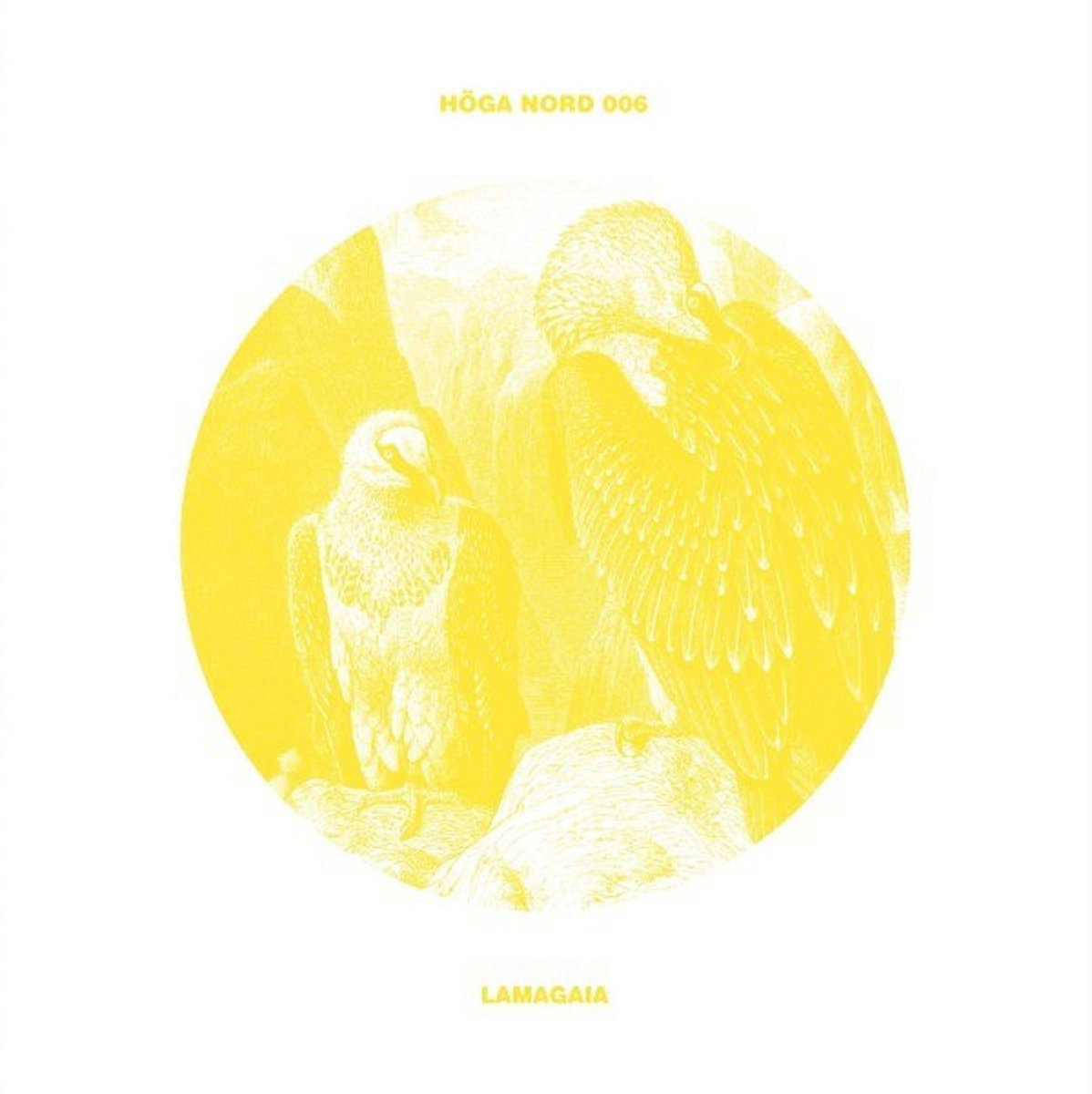 Space Normal Speed / Seabass | Lamagaia