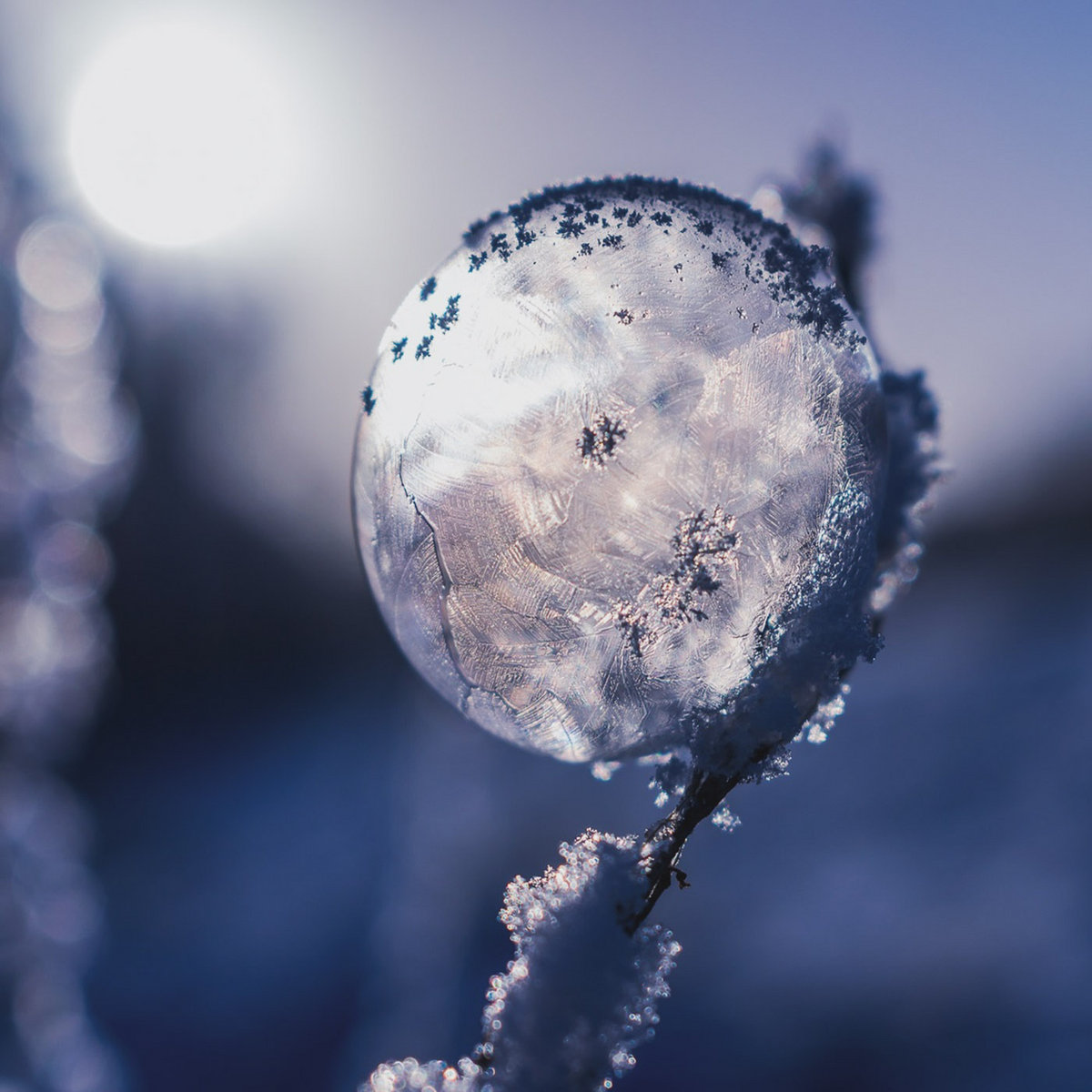 Dawn's Formation II | Bremnar