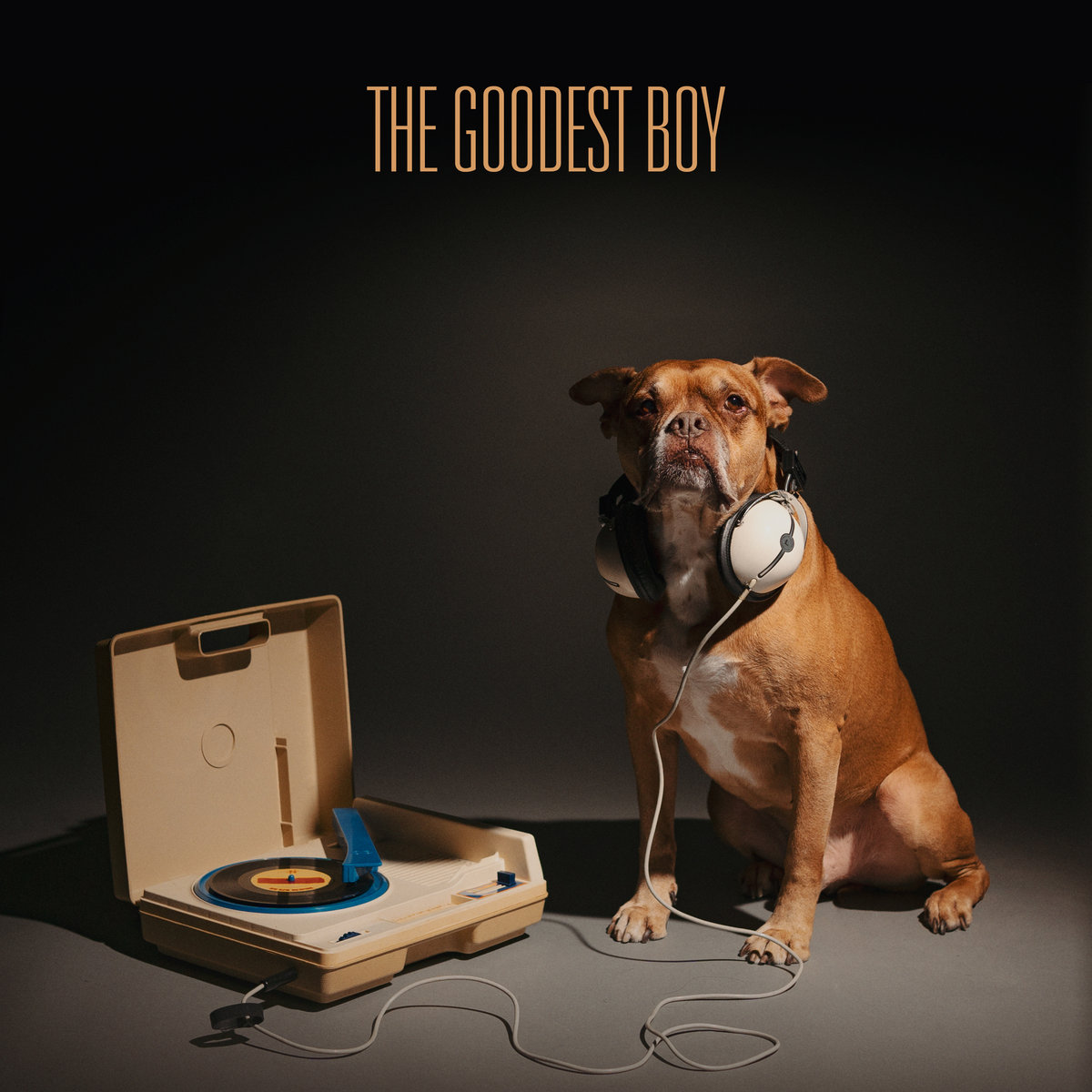 The Goodest Boy | The Goodest Boy