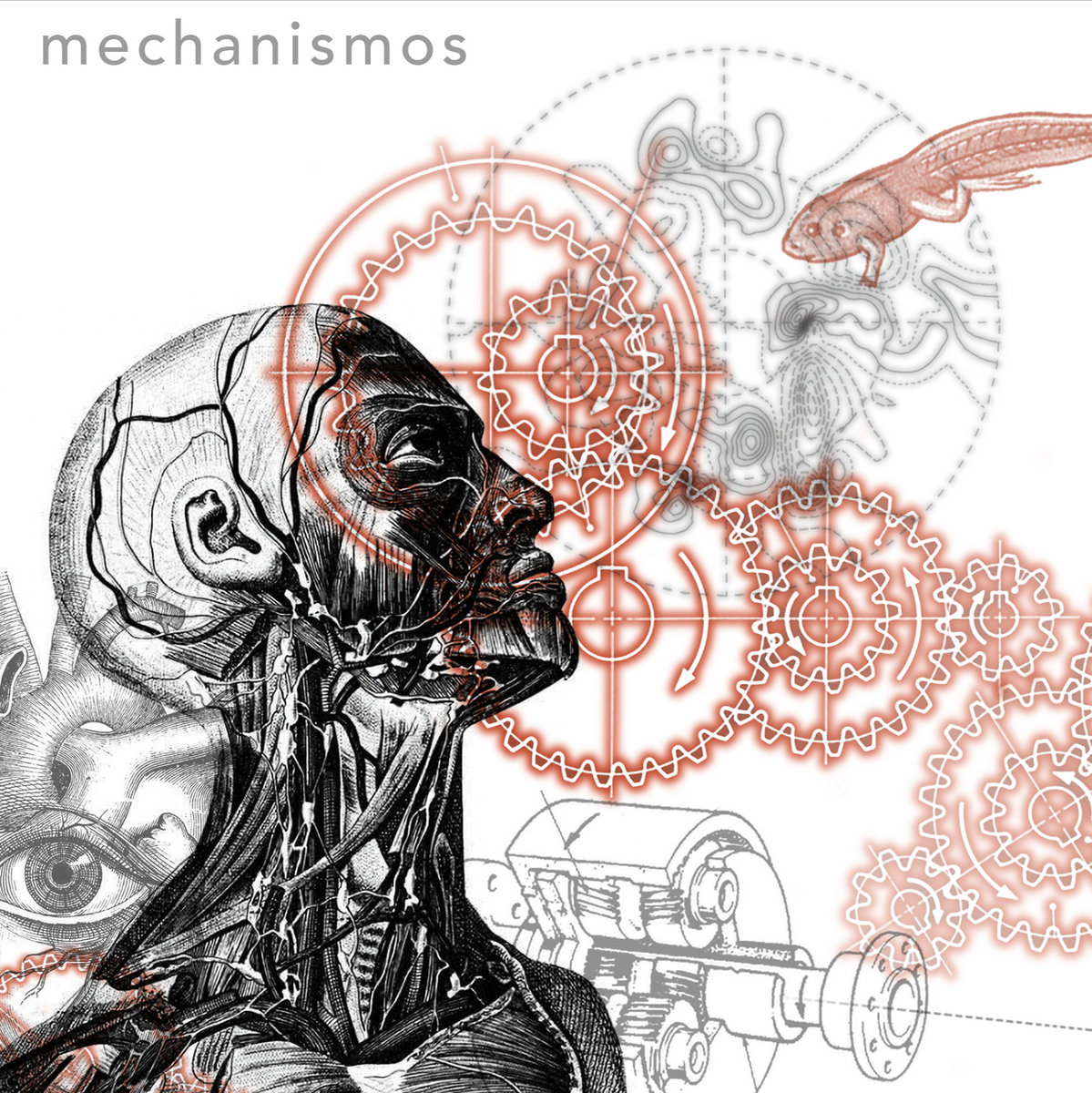 mechanismos | arcane device | David Lee Myers