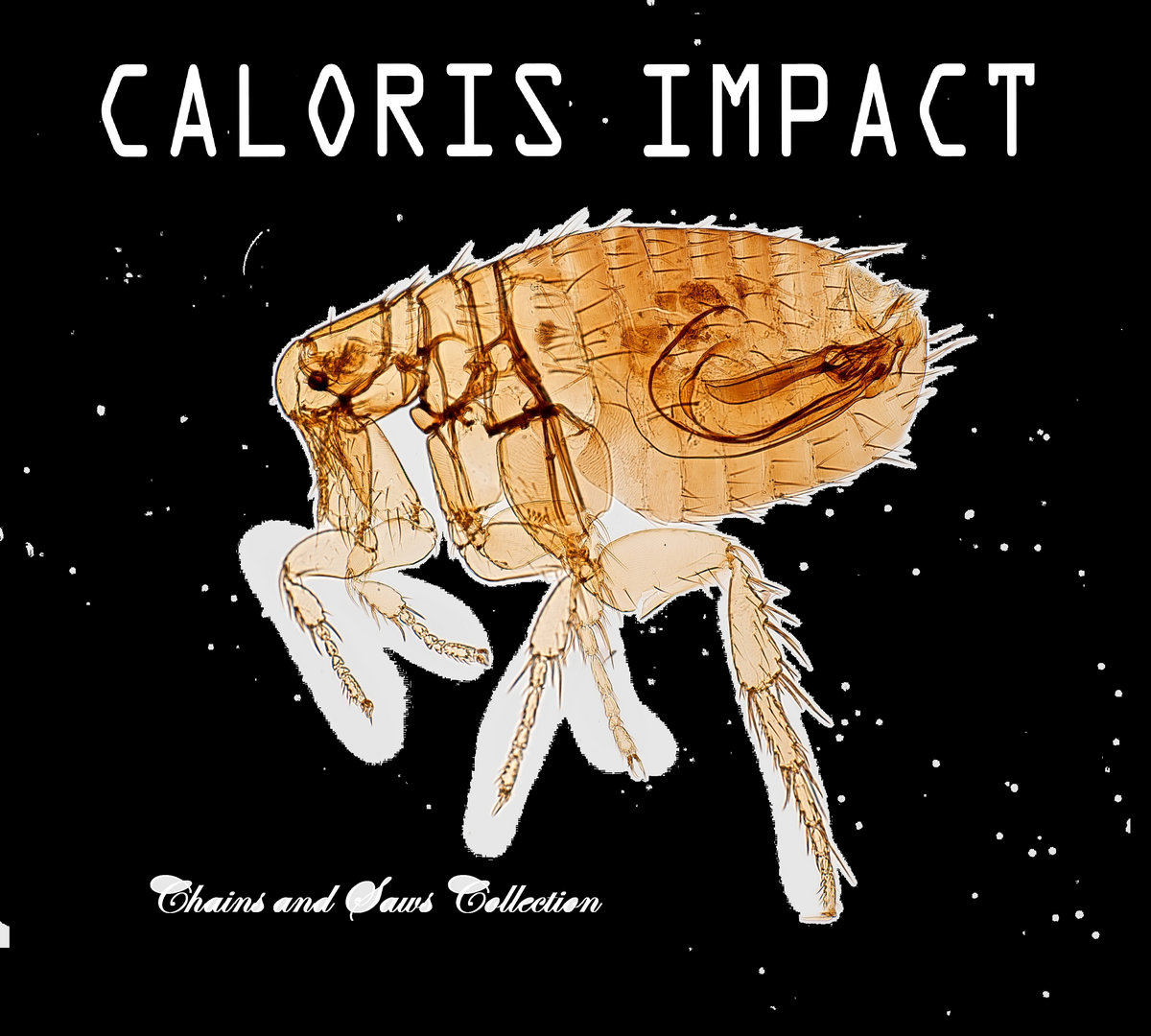 CALORIS IMPACT - Chains and Saws Collection | NO COMB_ANERⒶS Distro