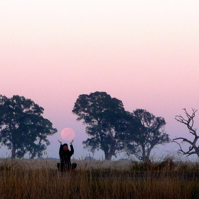 Various tracks | Anne Norman | Anne M Norman