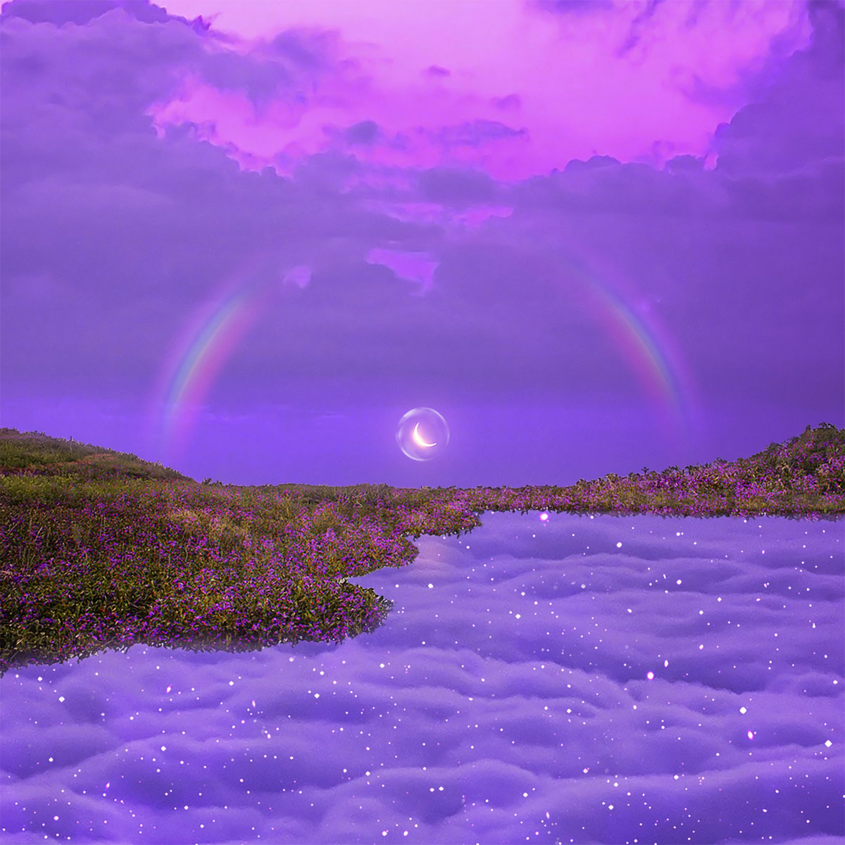 Finding Paradise | Simber