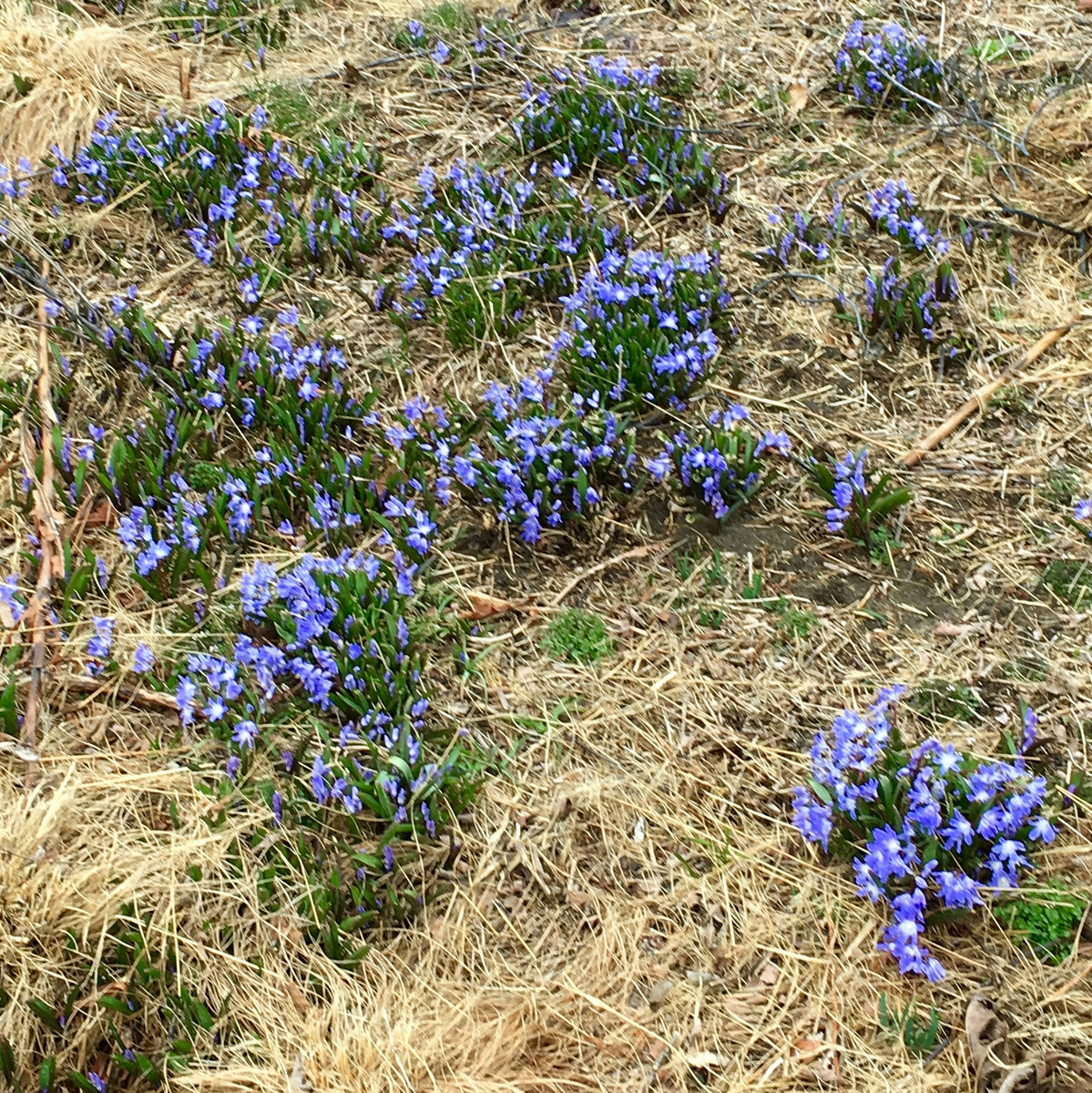 Later | Tyler Durgan | Dupas