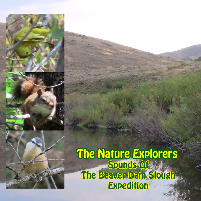 Sounds of The Beaver Dam Slough Expedition Bird, Insect, Squirrel, and ...