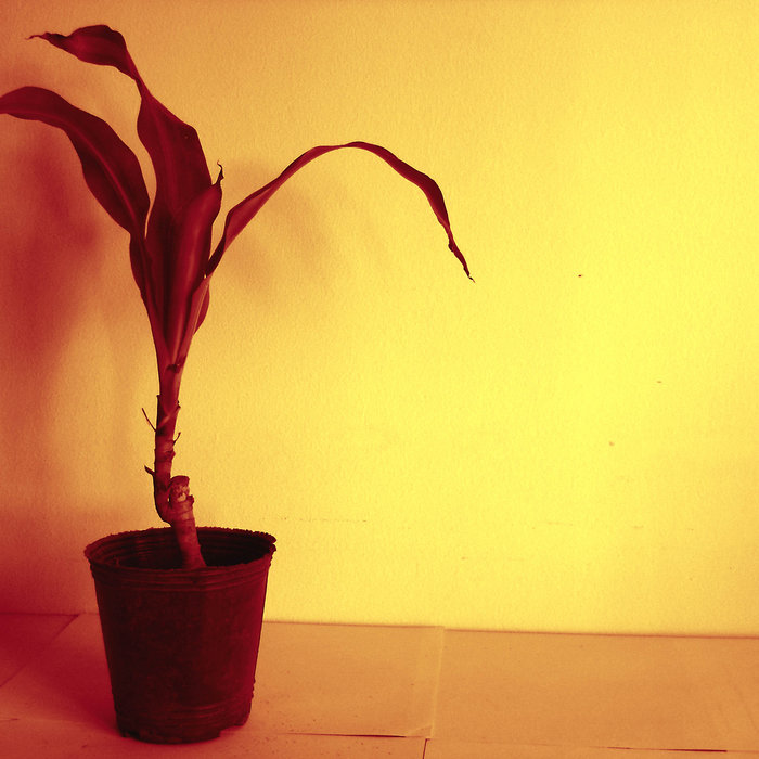 Canciones originales (songs) | Dani Zappia | Dani Z