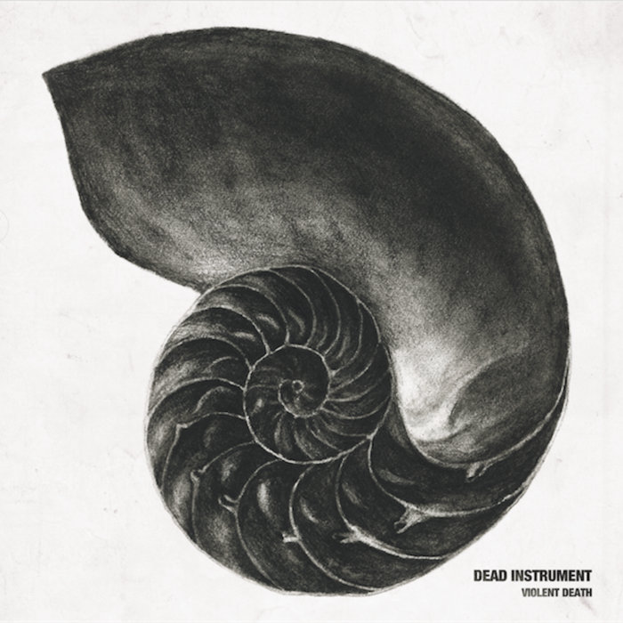 Violent Death | Dead Instrument | Raw Birth Records