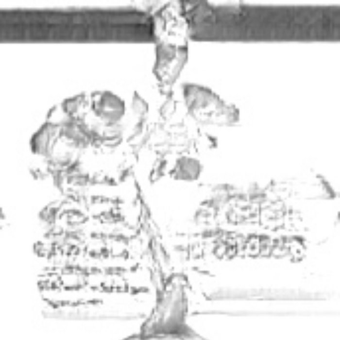 Syntax Based Deity Foam Morphology | Qualia Research Clergy