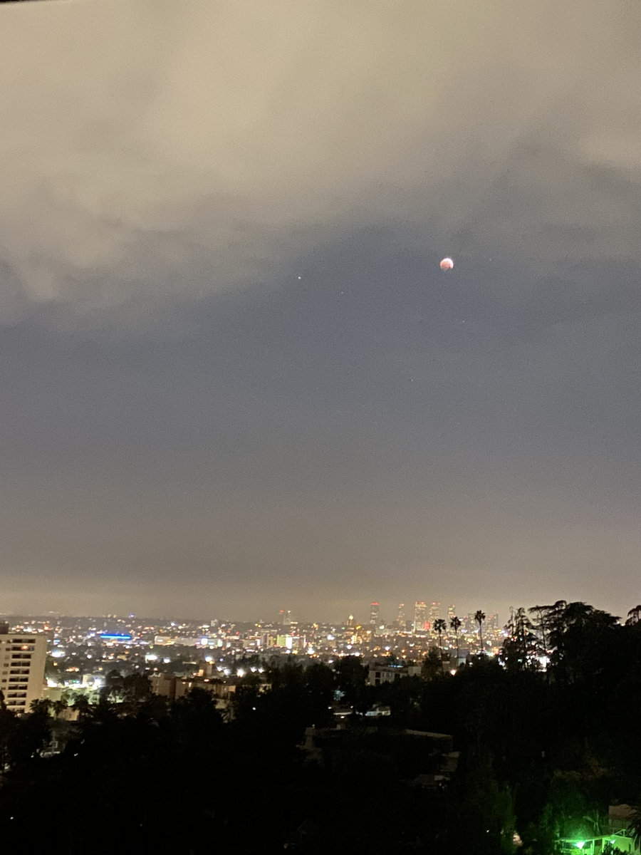 My Midnight Friend | Wesley Strick