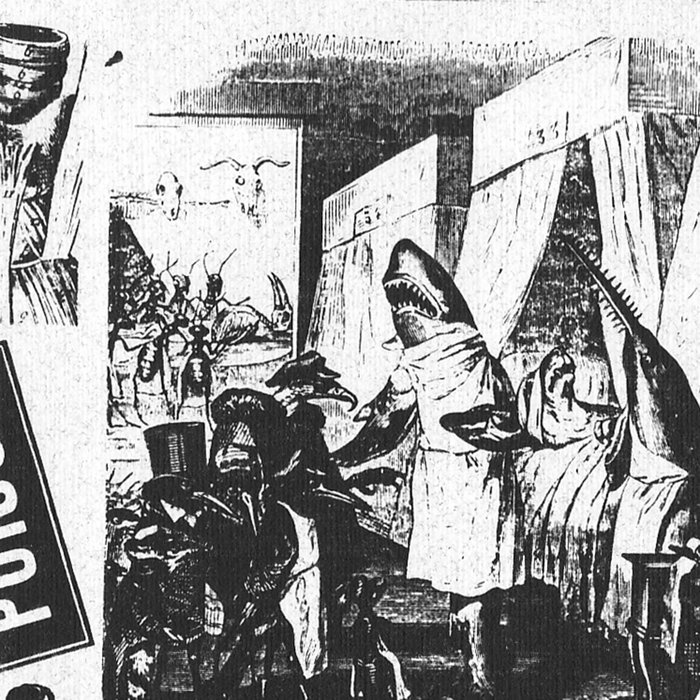 Shark Hospital | Russ Stedman