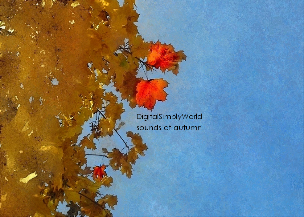 Sounds of Autumn | DigitalSimplyWorld