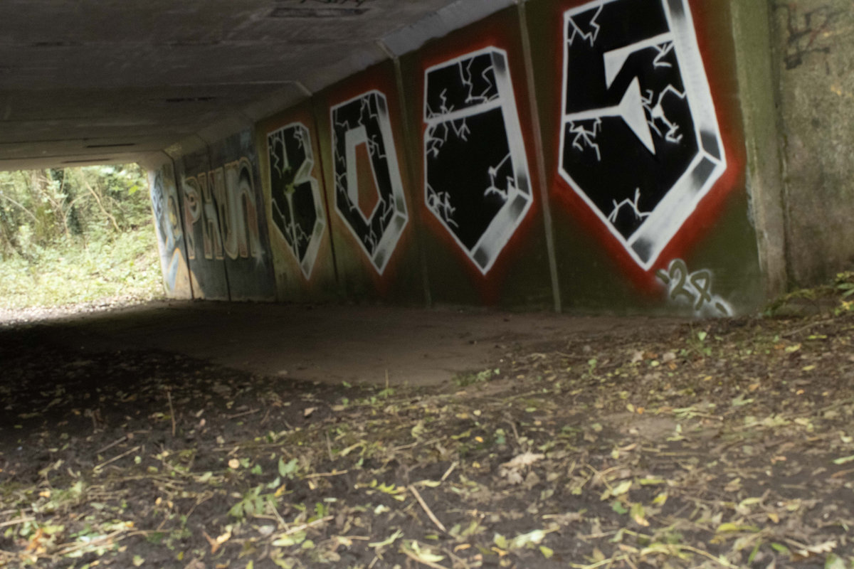 Shattered Walker | Ryan Boswell | RyanBoswell