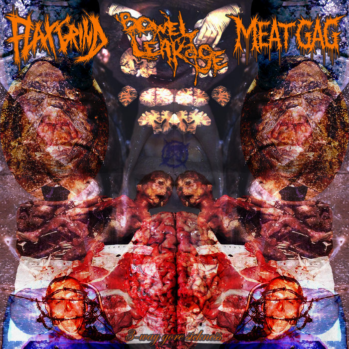 Split w/ Flax & Meatgag (preview) | Bowel Leakage