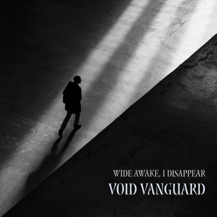 Wide Awake, I Disappear | Void Vanguard