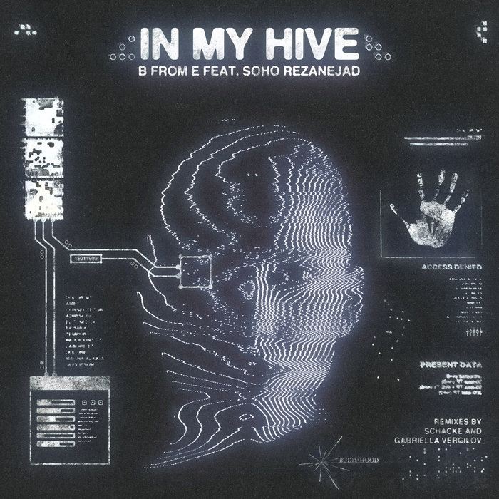 In My Hive feat. Soho Rezanejad | B From E feat. Soho Rezanejad | B FROM E