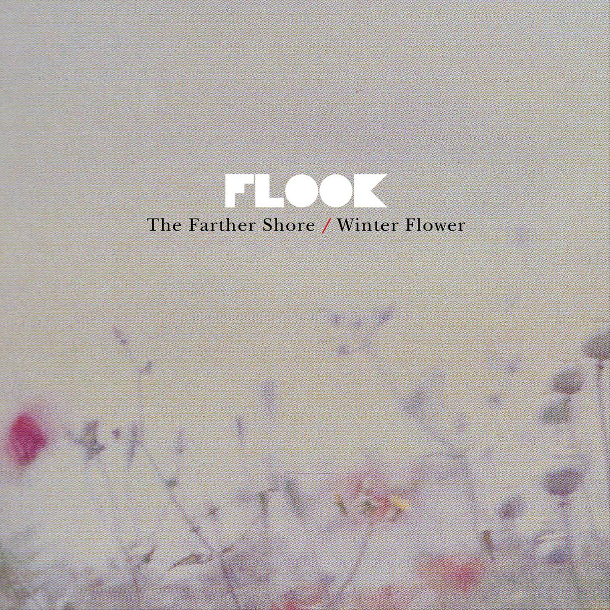 The Farther Shore/Winter Flower - Single | Flook