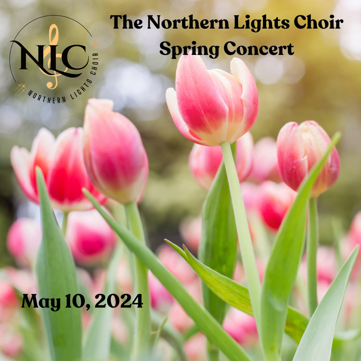 Explanation of Cry of the Hunger Stones | Northern Lights Choir