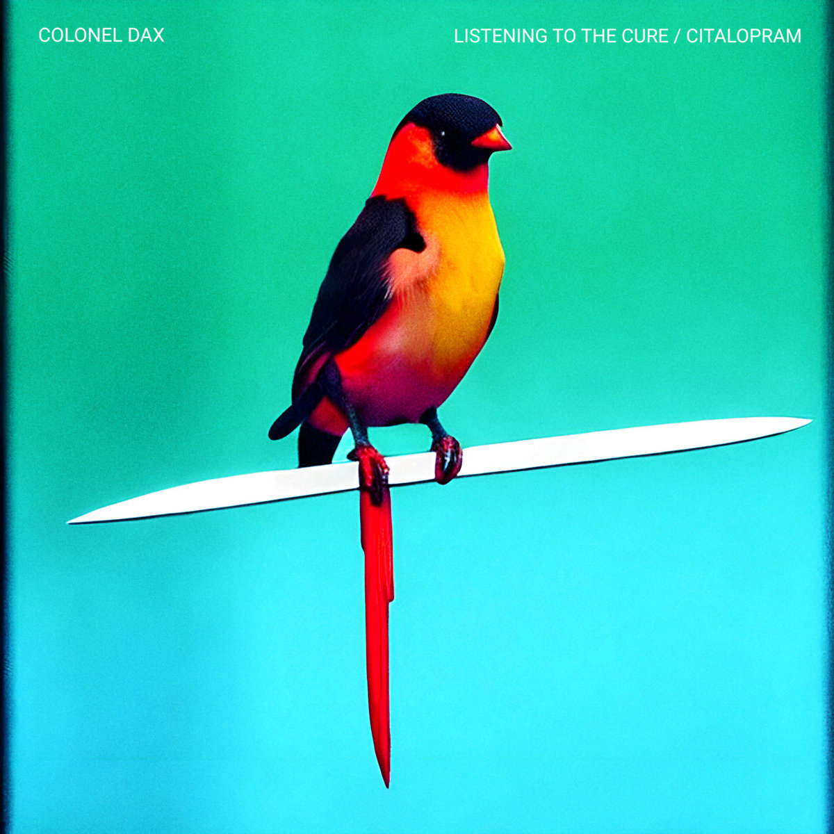 Listening to the Cure / Citalopram | Colonel Dax