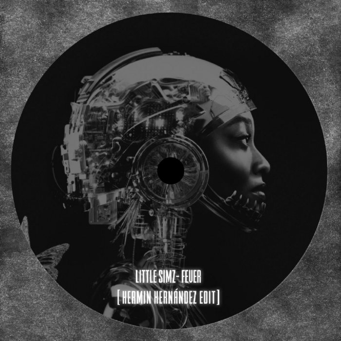 Little Simz- Fever Hermin Hernández Edit | Hermin Hernandez