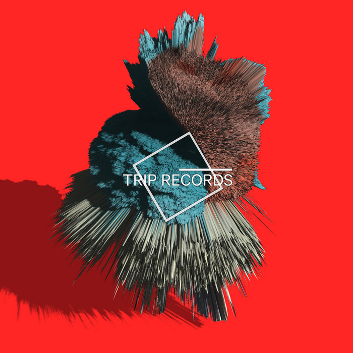 Geoffroy's Cat | Meraki