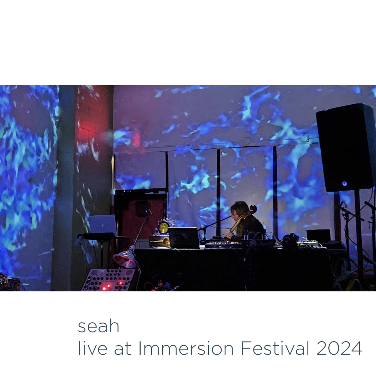 live at Immersion Festival 2024 | seah | Somnimage