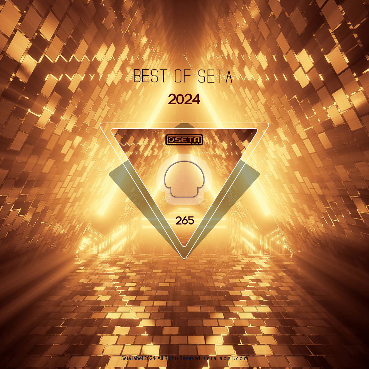 Best Of Seta 2024 | Various Artists | Seta Label