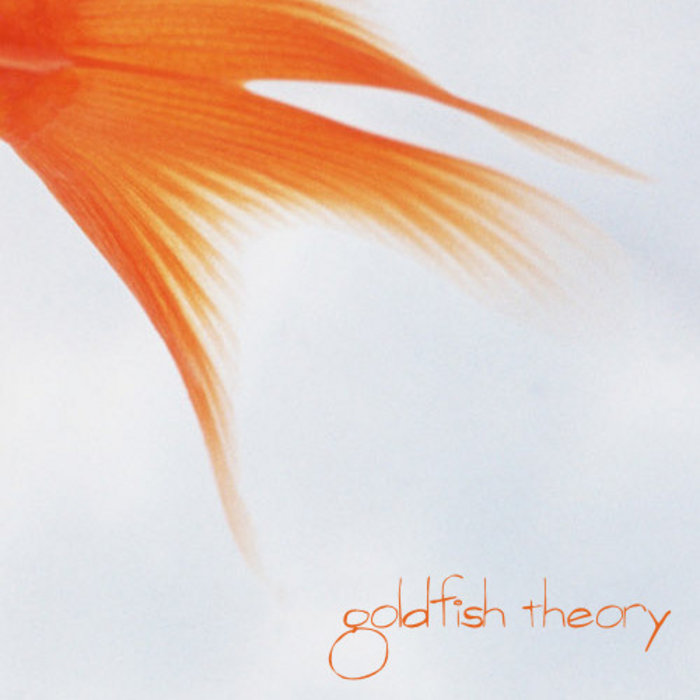 Too Late | Goldfish Theory