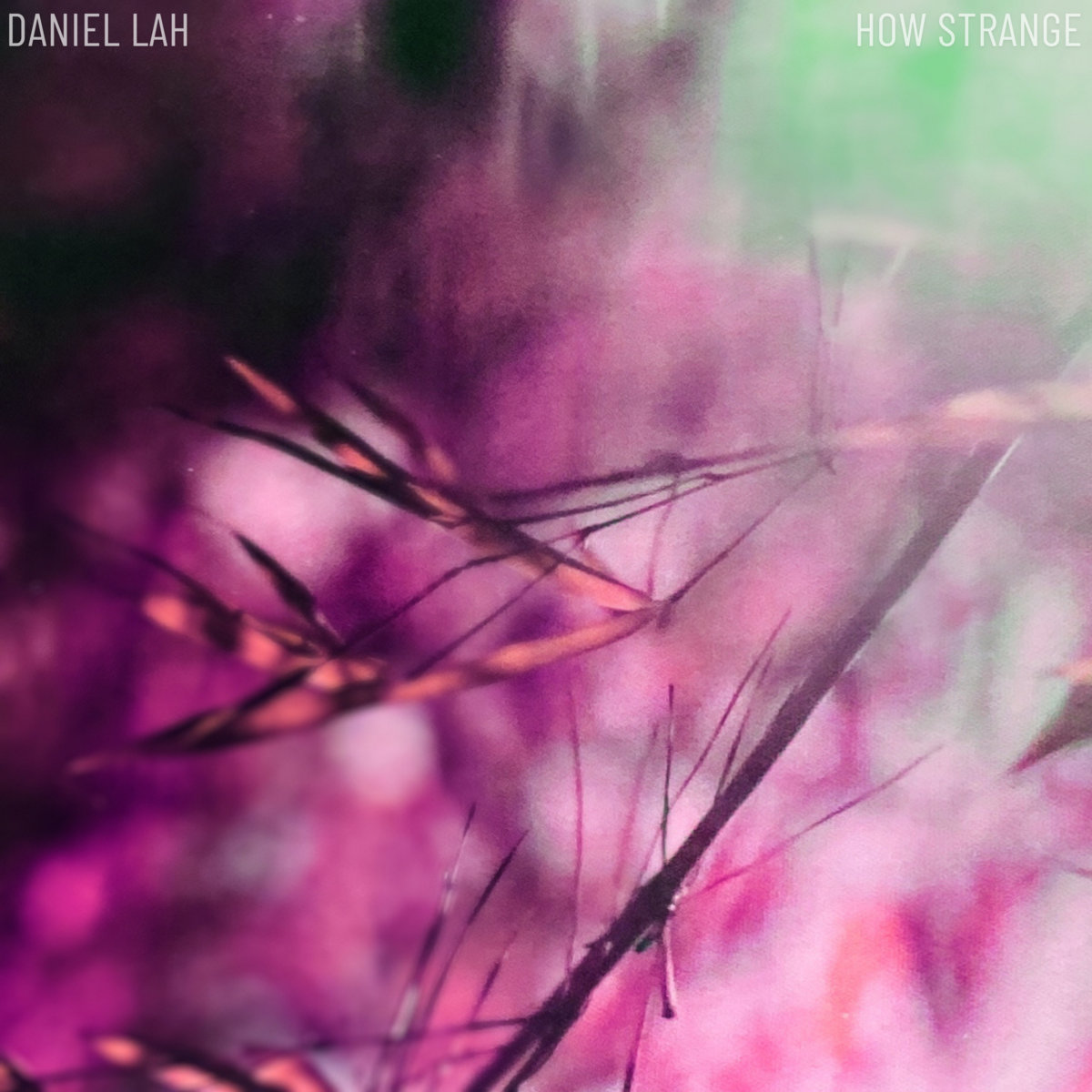 How Strange | Daniel Lah