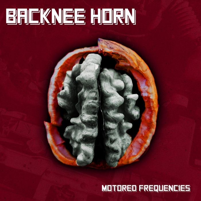 Motored Frequences | Backnee Horn