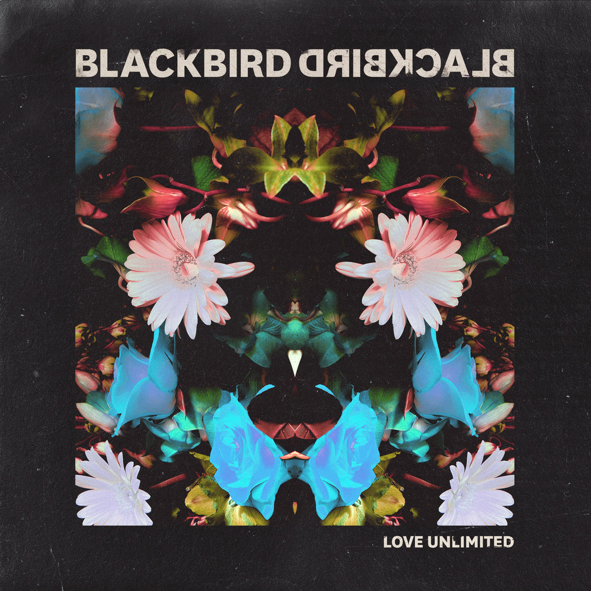 Love Unlimited - Single | Blackbird Blackbird
